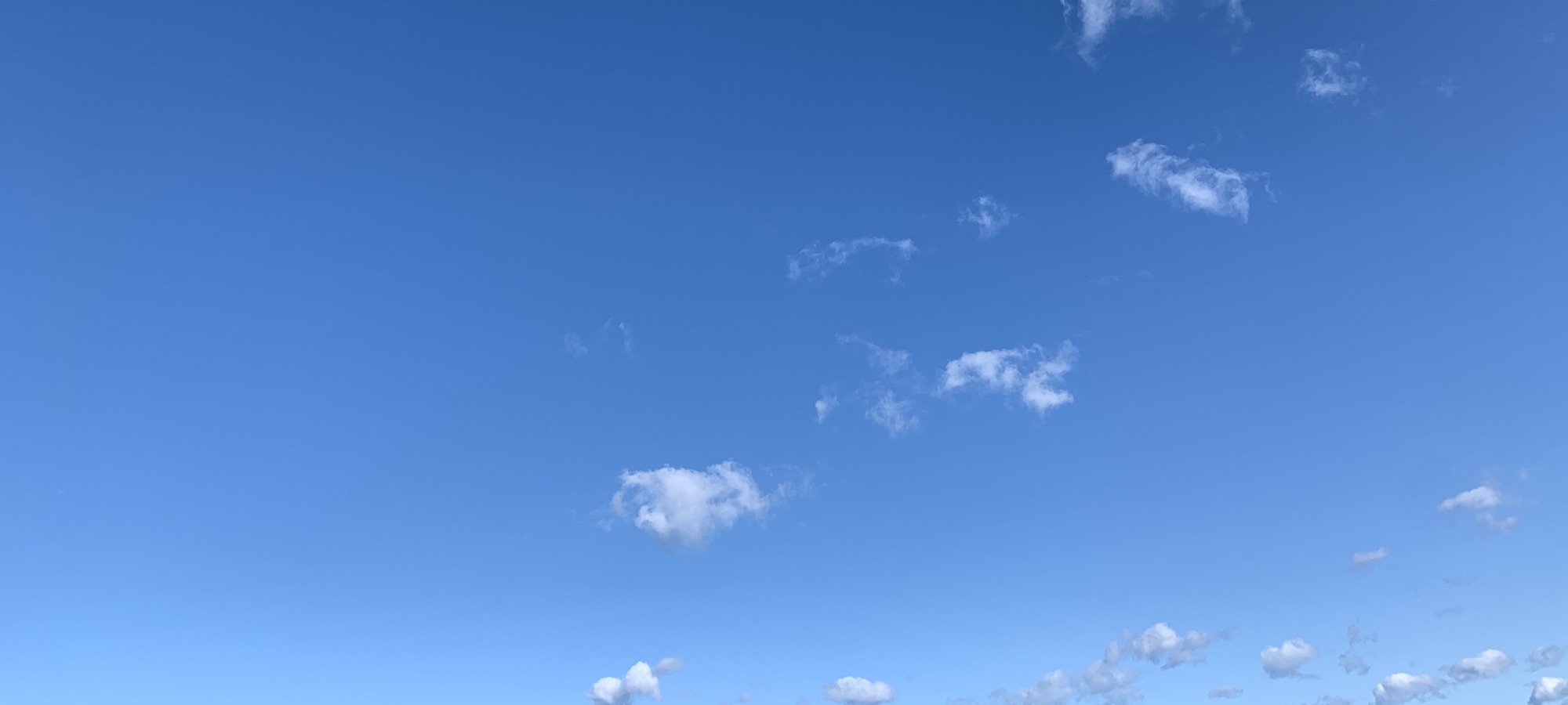 sky_web – Research Co.