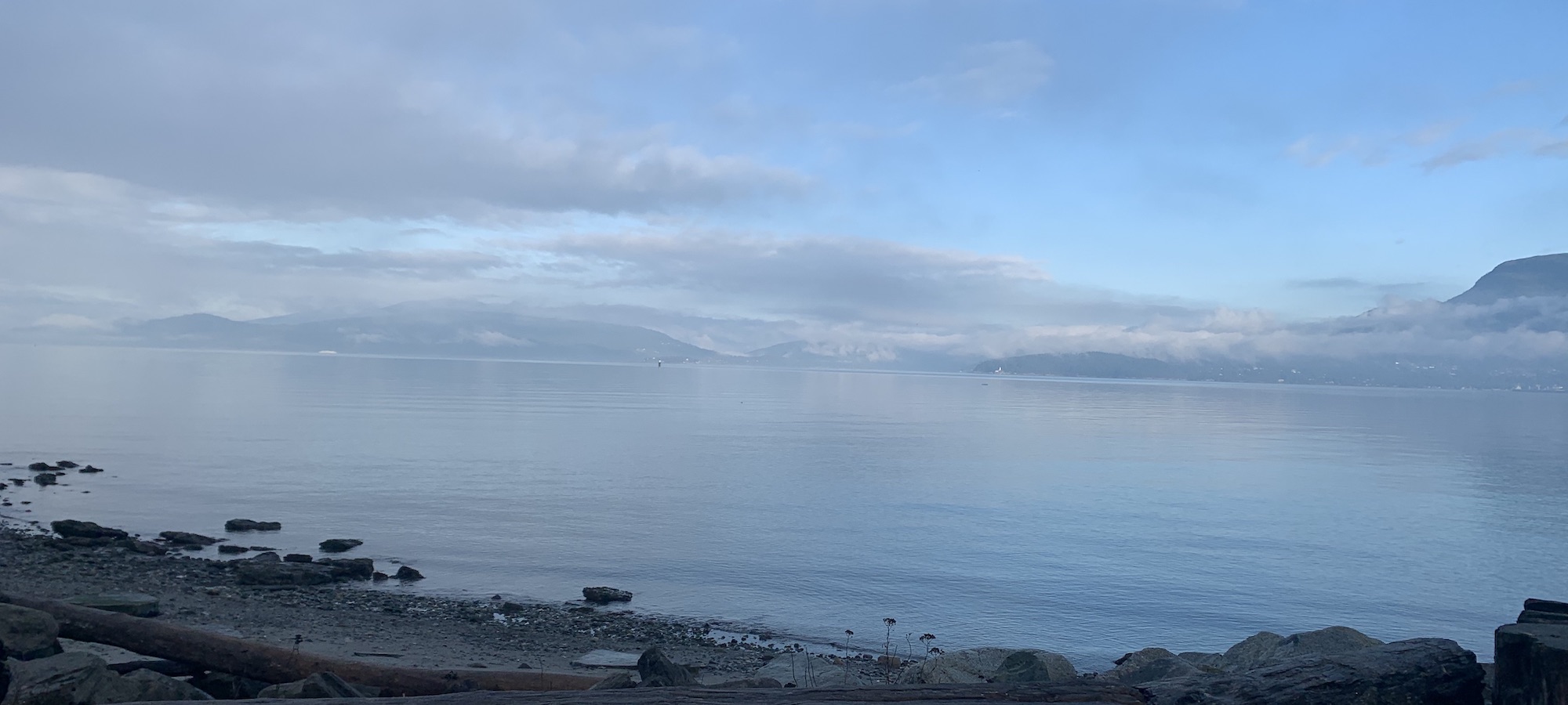 sea_web – Research Co.