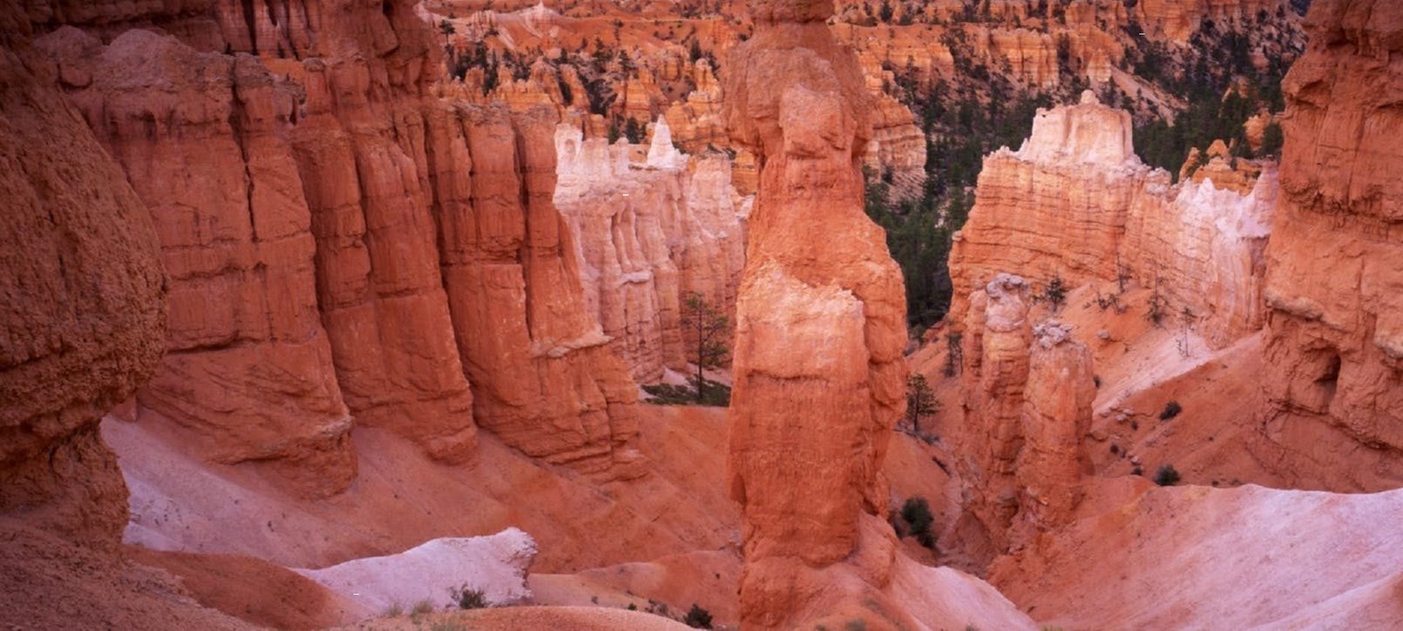 canyon_web – Research Co.